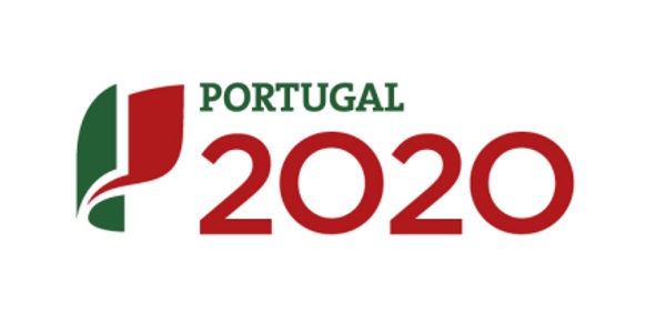 SISCOG | P2020 Co-financing